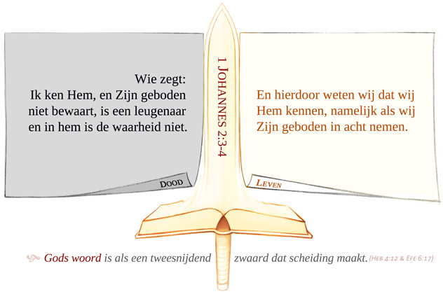 Portfolio test - Bijbel als Zwaard